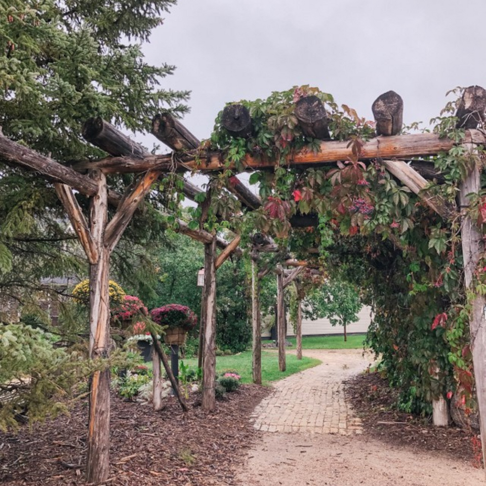 Photo Opportunities– Pineridge Hollow