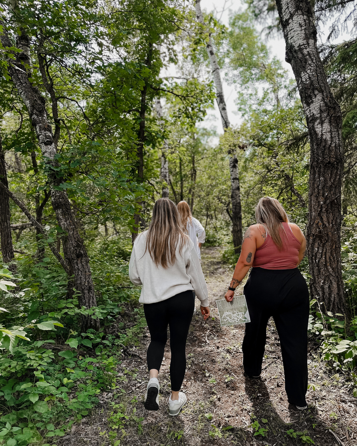 The Forest– Pineridge Hollow