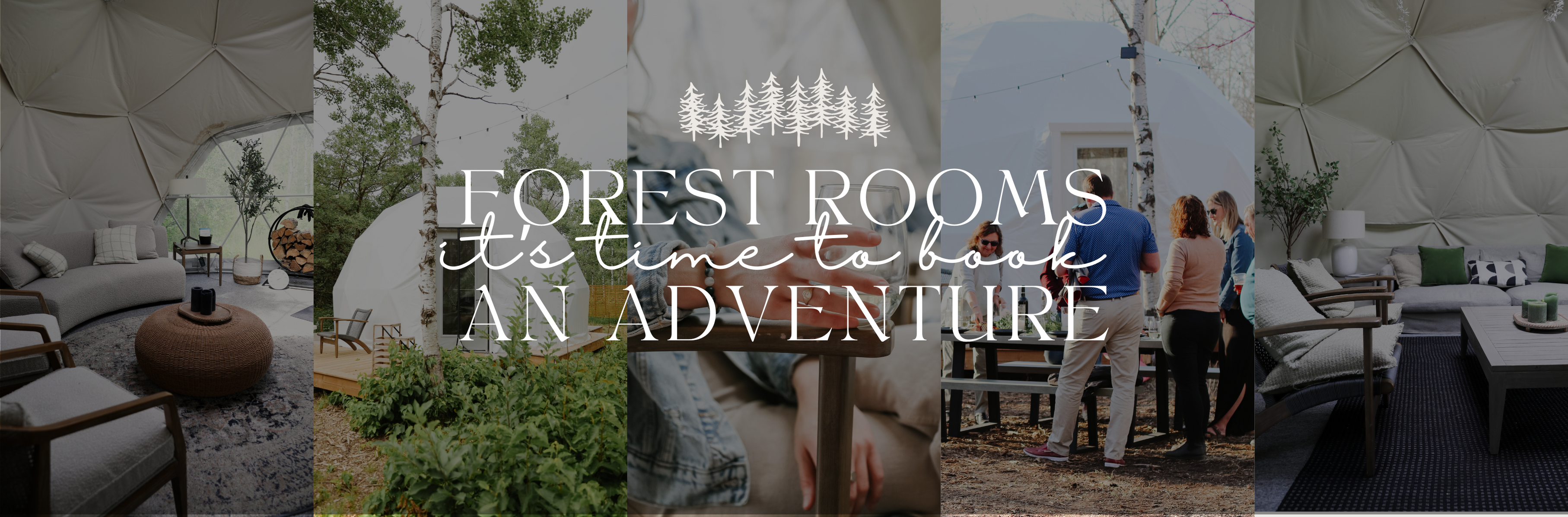 The Forest– Pineridge Hollow