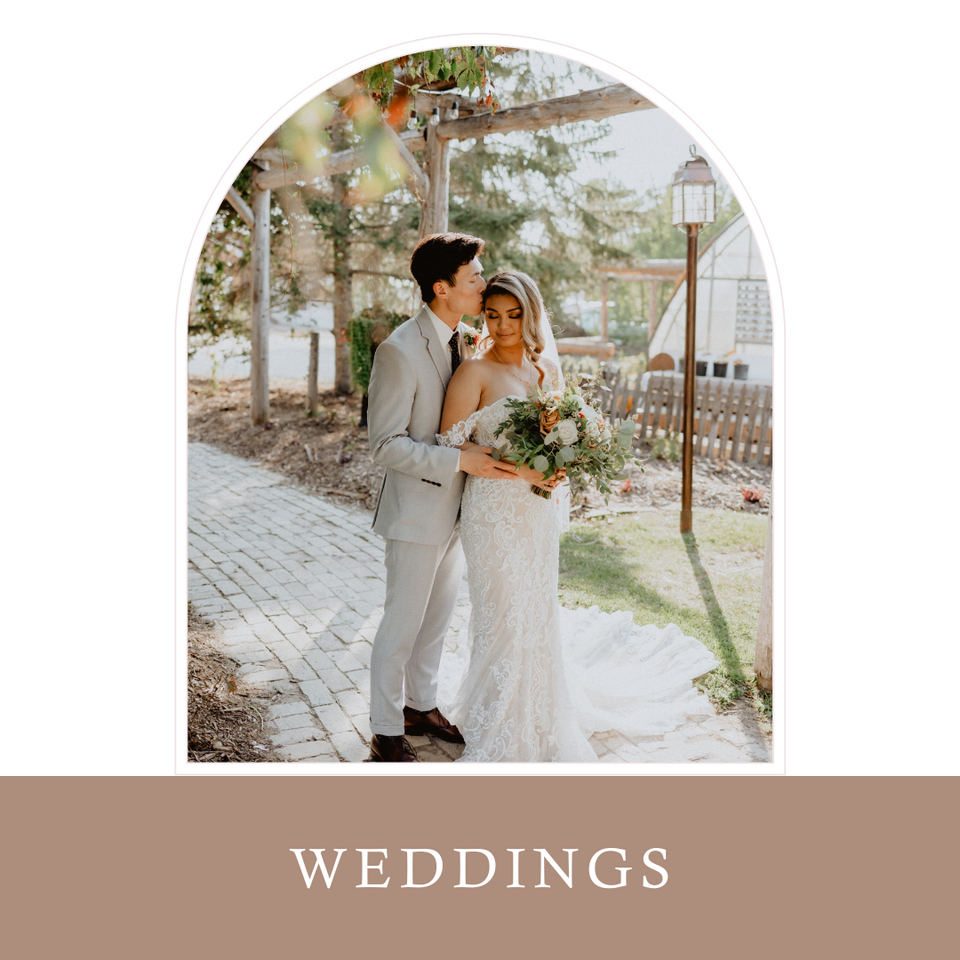 Events– Pineridge Hollow